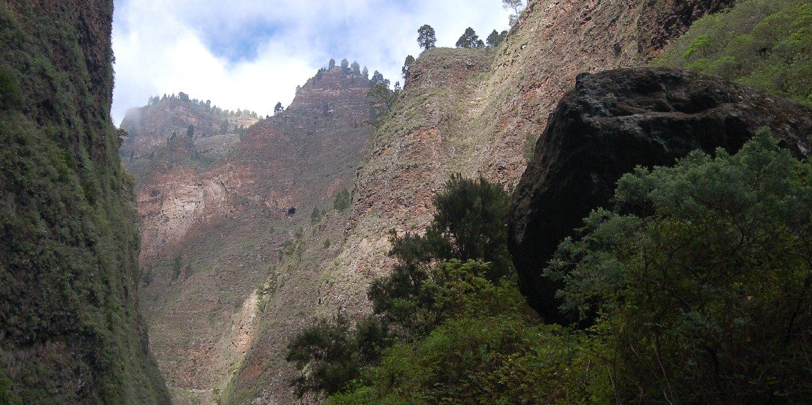 SENDERISMO EN TENERIFE: EL BARRANCO DE AÑAVINGO - Caminantes de Aguere