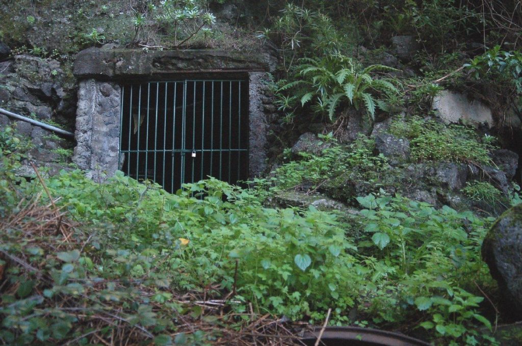 SENDERISMO EN TENERIFE: EL BARRANCO DE AÑAVINGO - Caminantes de Aguere